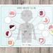 Printable My Body Busy Book, Human Anatomy, Science Activity, About My ...