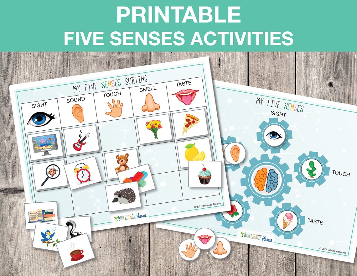 Printable Five Senses, Five Senses Sorting, Toddler Busy Book Page ...