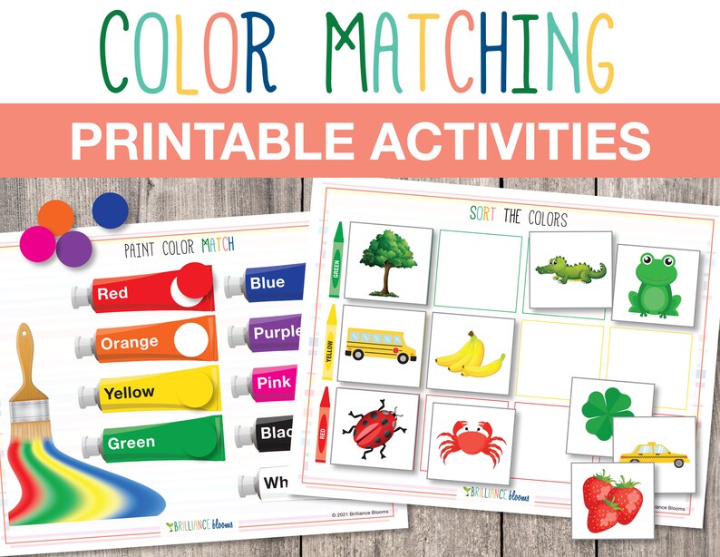 Printable Color Matching Activity Color Sorting Activity | Etsy