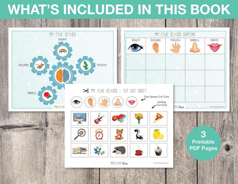 Printable Five Senses, Five Senses Sorting, Toddler Busy Book Page ...