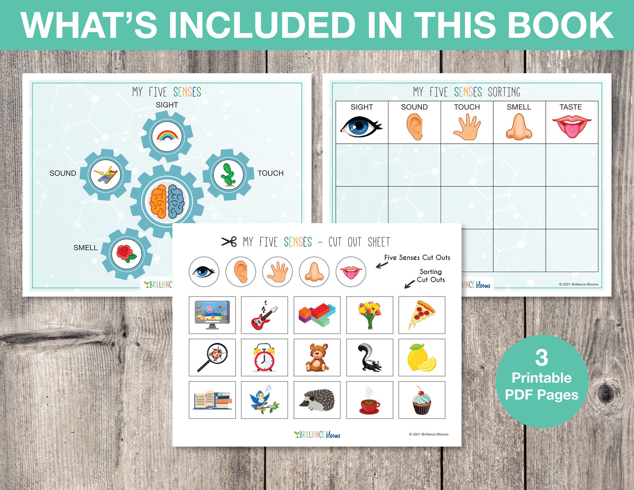 Printable Five Senses Activity, Five Senses Sorting, Toddler Busy Book ...