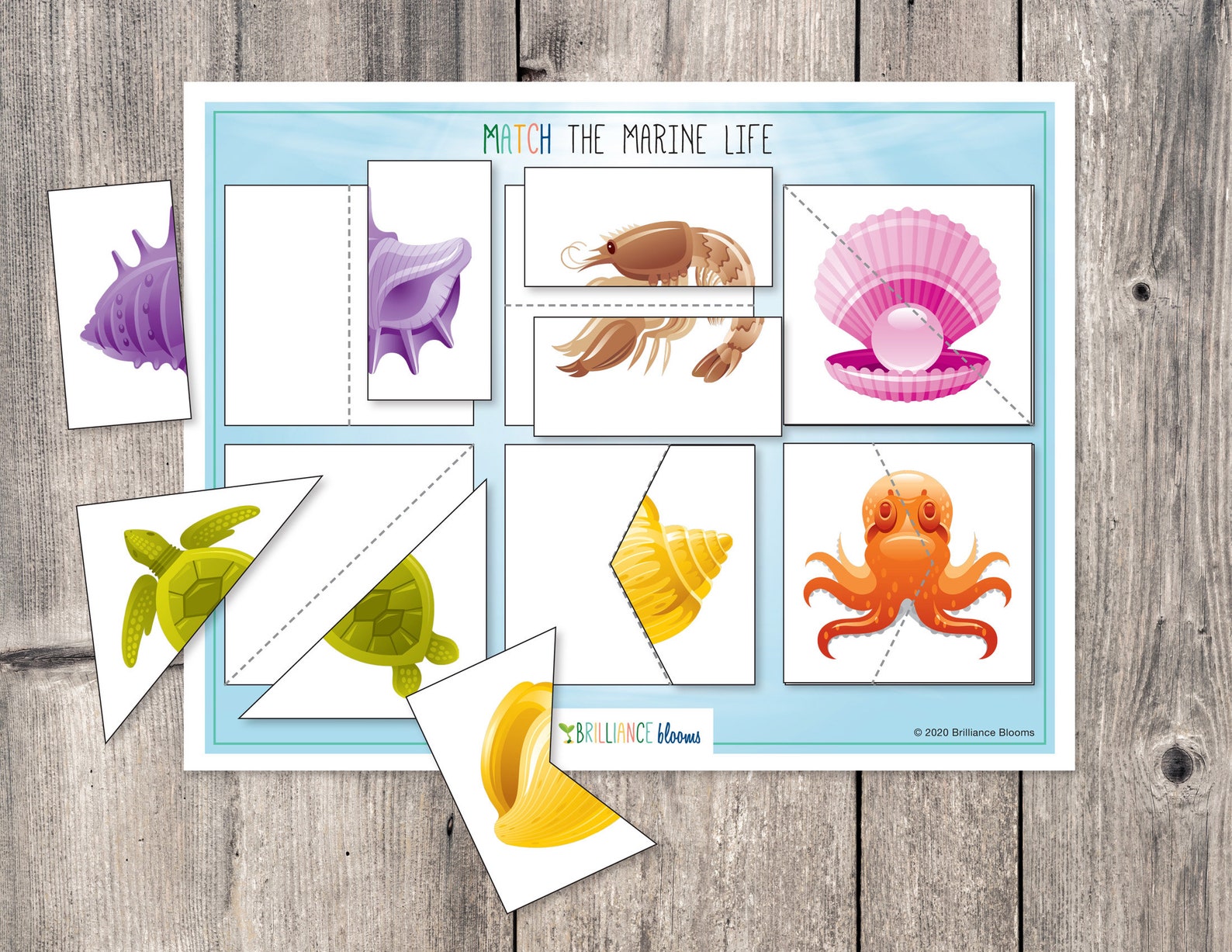 Printable Toddler Busy Book, Ocean Busy Book, Quiet Workbook, Ocean ...