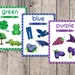 Printable Color Flashcards, Colors Flashcards, Preschool Activity ...
