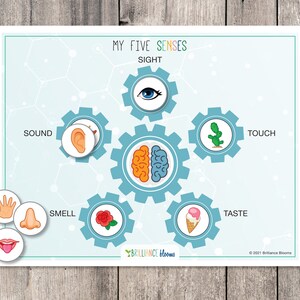 Printable Five Senses, Five Senses Sorting, Toddler Busy Book Page ...