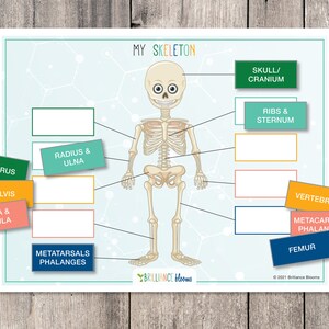 Printable My Body Busy Book, Human Anatomy, Science Activity, About My ...