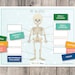 Printable My Body Busy Book, Human Anatomy, Science Activity, About My ...