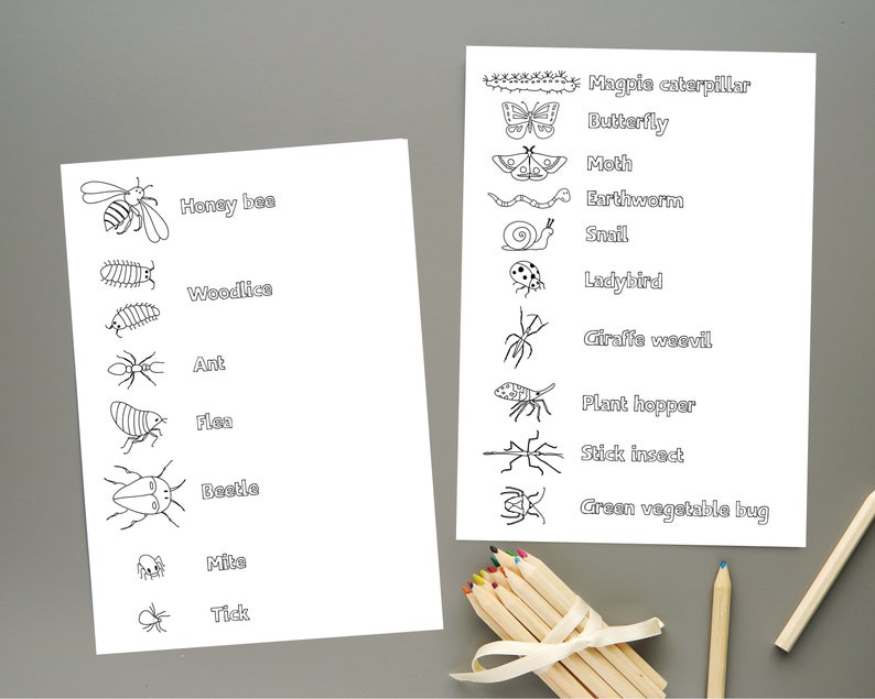 I Spy Bugs Activity: Kids Colouring Page, Printable Game (digital ...