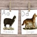 Alphabet Flashcard Printable Cursive Flash Cards, Homeschool Printables ...