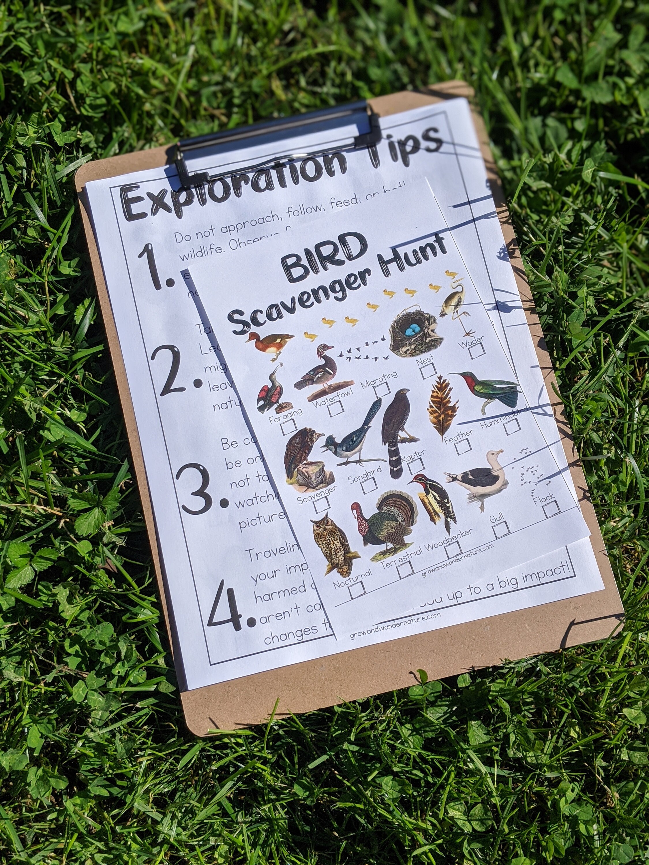 Bird Scavenger Hunt Printable, Nature Activity Sheets for Camping ...