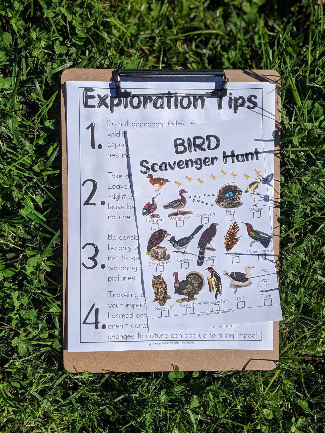 Bird Scavenger Hunt Printable, Nature Activity Sheets for Camping ...