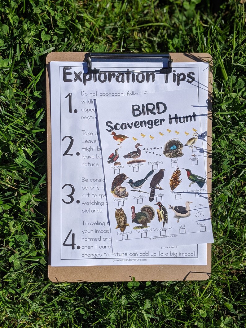 Bird Scavenger Hunt Printable, Nature Activity Sheets for Camping ...
