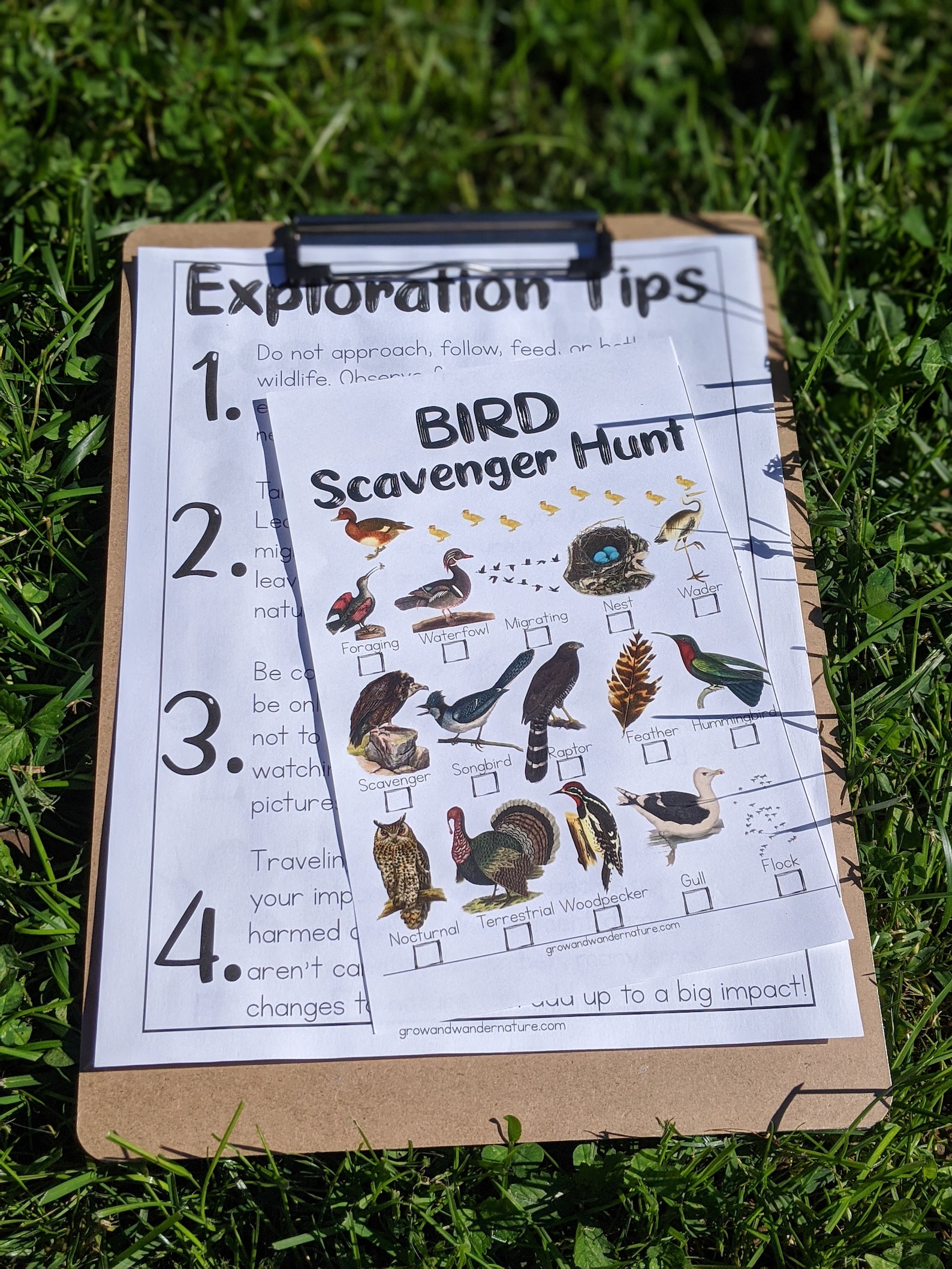 Bird Scavenger Hunt Printable: Nature Activity for Kids (PDF) - Etsy UK