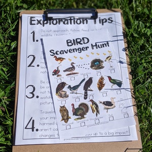 Bird Scavenger Hunt Printable, Nature Activity Sheets for Camping ...