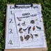 Bird Scavenger Hunt Printable Nature Activity Sheets for - Etsy
