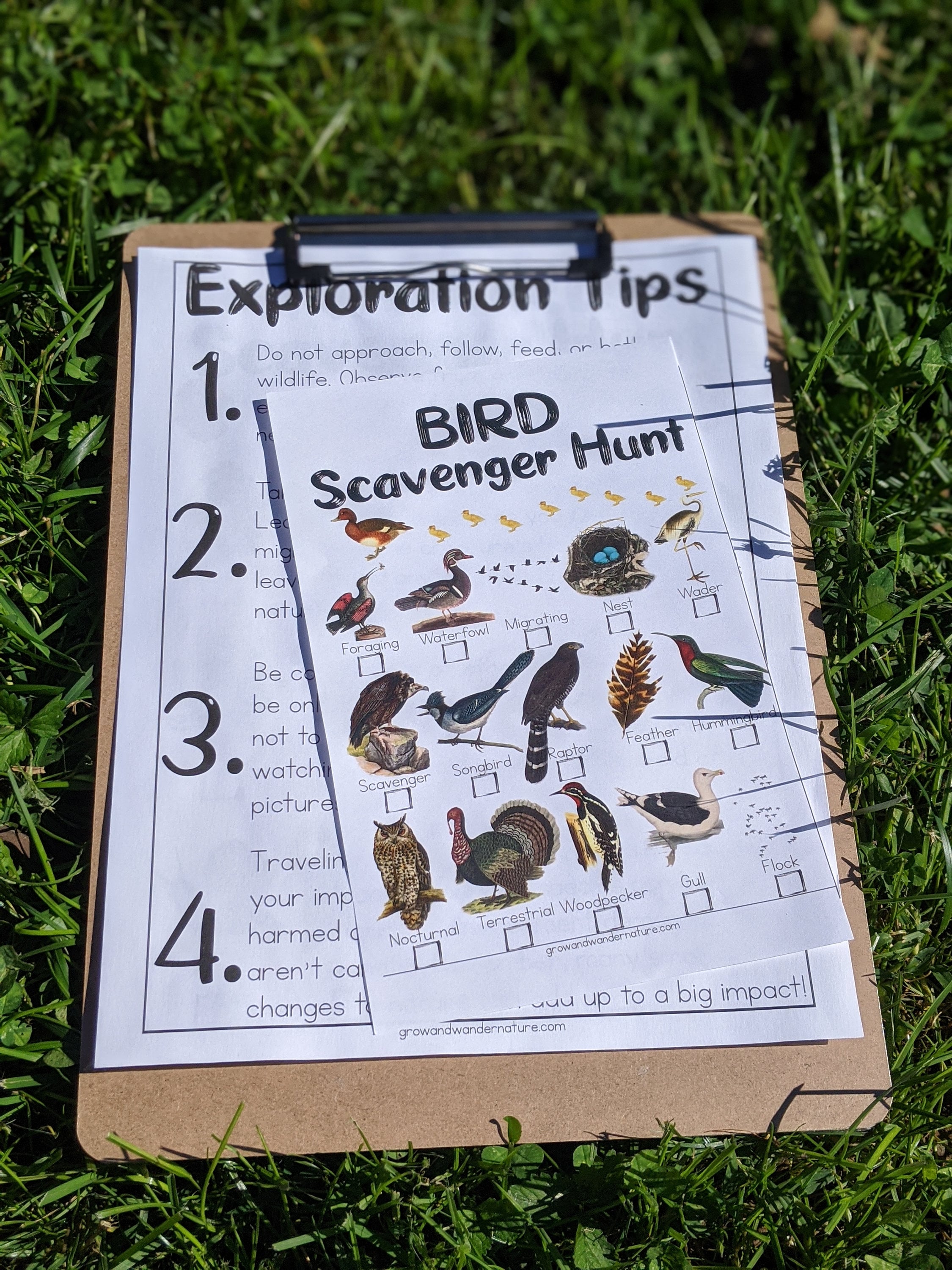 Bird Scavenger Hunt Printable, Nature Activity Sheets for Camping ...