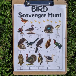 Bird Scavenger Hunt Printable, Nature Activity Sheets for Camping ...