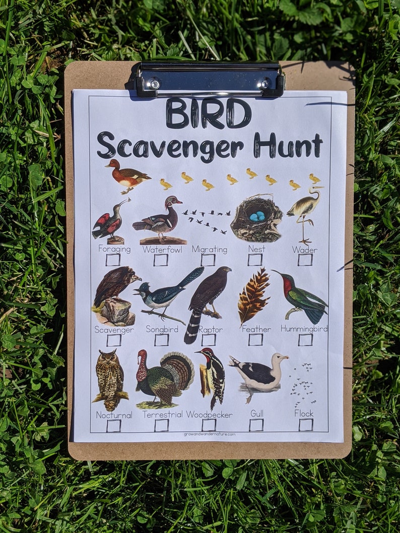 Bird Scavenger Hunt Printable, Nature Activity Sheets for Camping ...