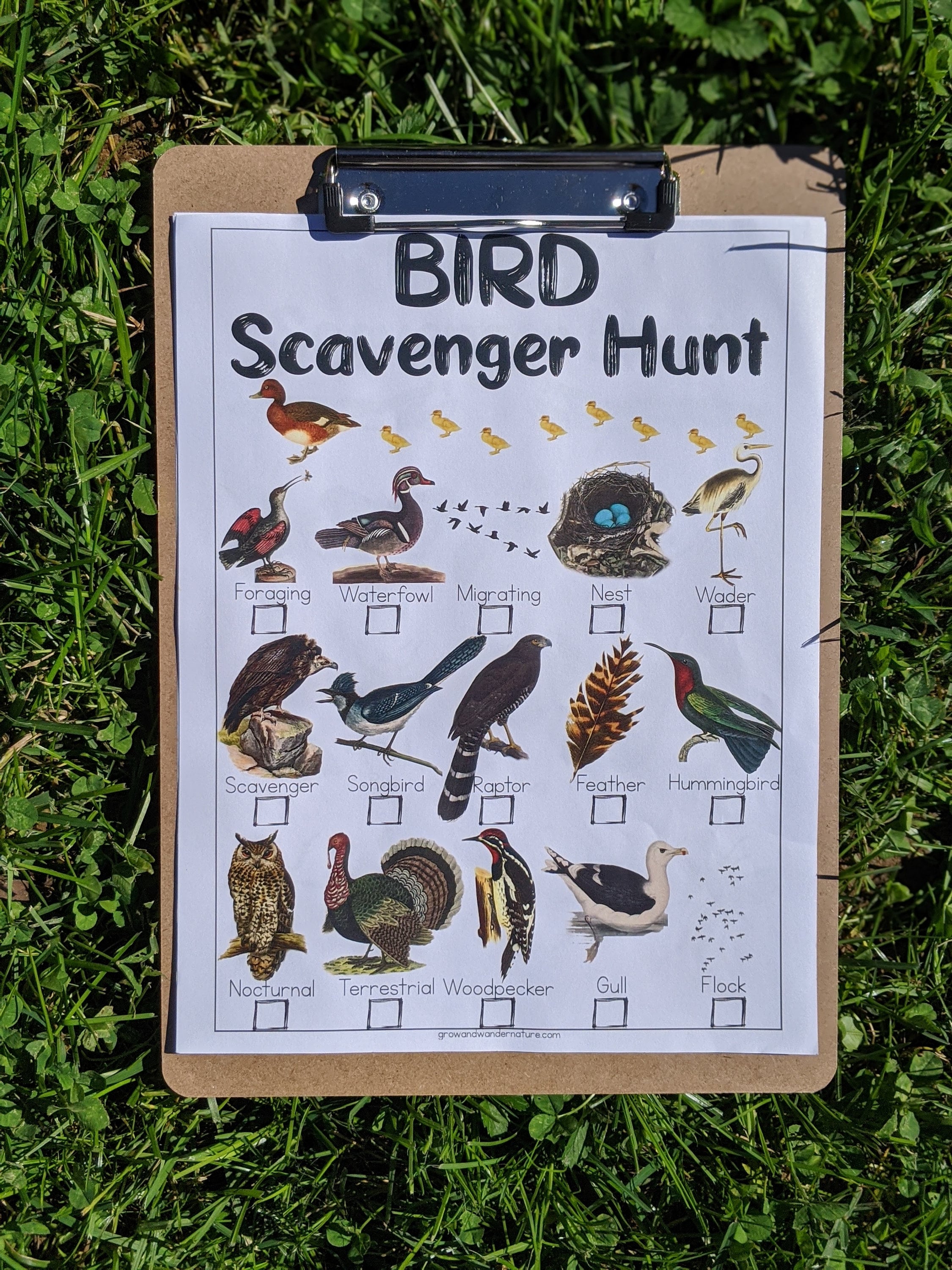 Bird Scavenger Hunt Printable, Nature Activity Sheets for Camping ...