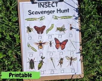 I Spy Summer Scavenger Hunt | PDF Downloadable Activity Sheet | Season ...