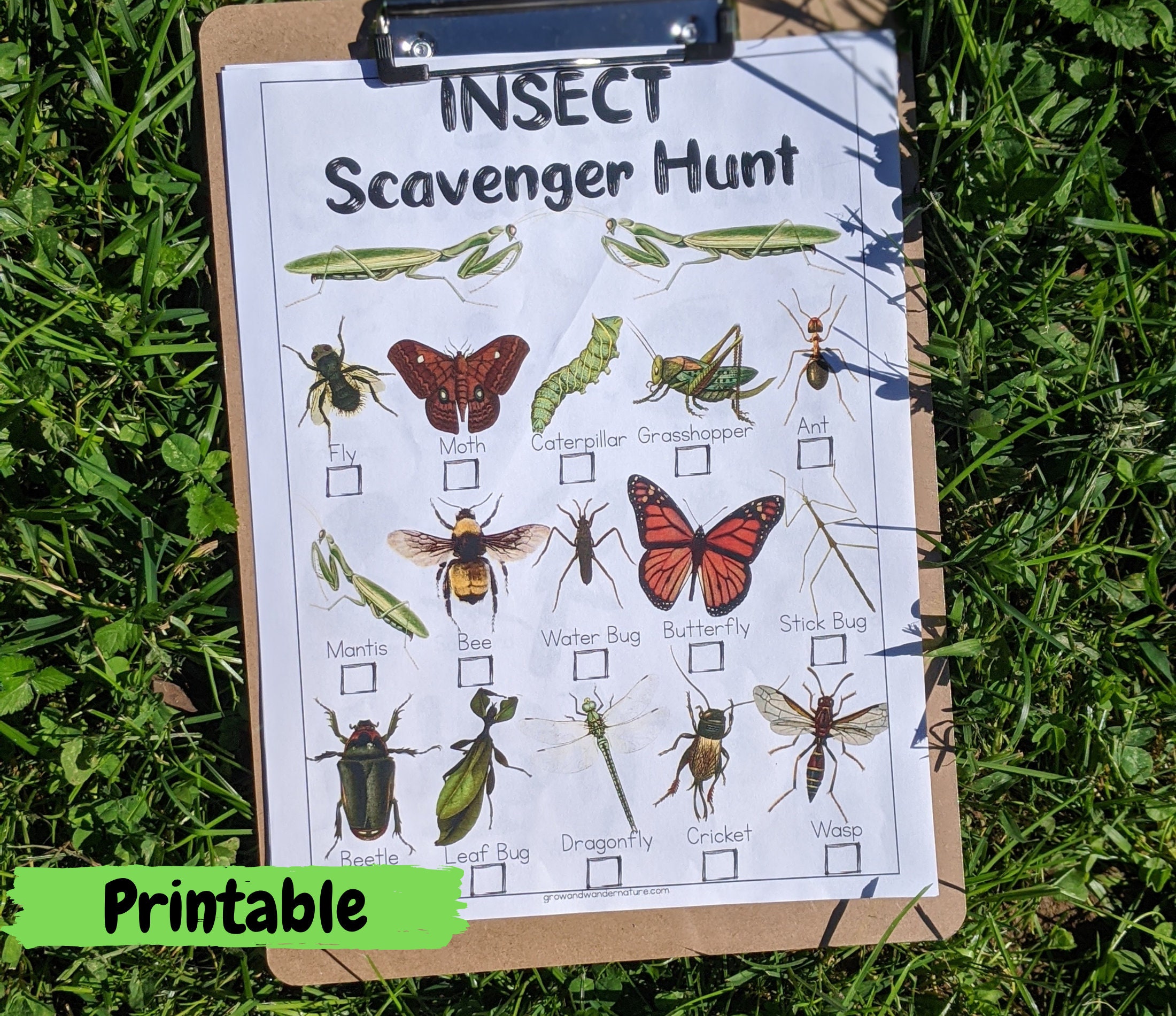 Insect Scavenger Hunt Printables Bug Themed Party Activity | Etsy India