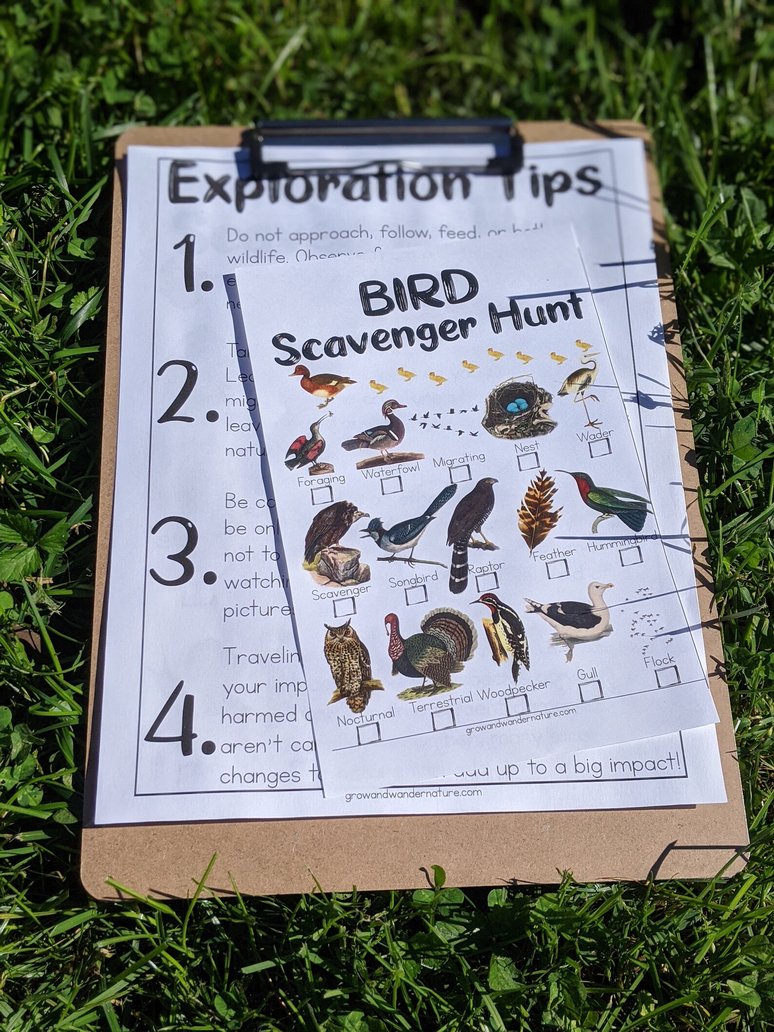 Bird Scavenger Hunt Printable, Nature Activity Sheets for Camping ...