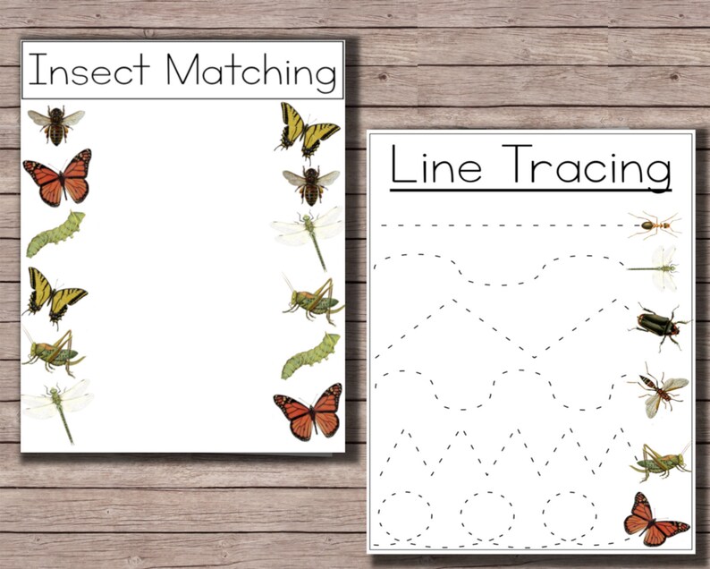 Insect Spring Educational Activities Printable Bundle, Writing ...