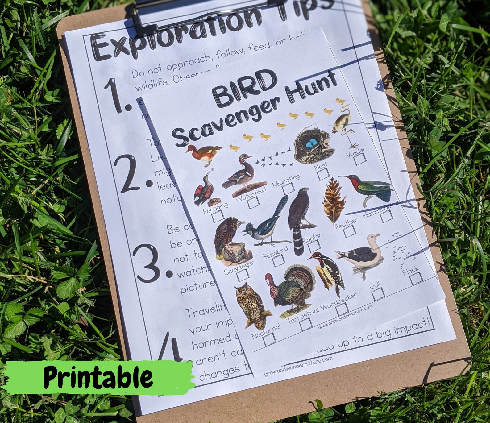 Bird Scavenger Hunt Printable, Nature Activity Sheets for Camping ...