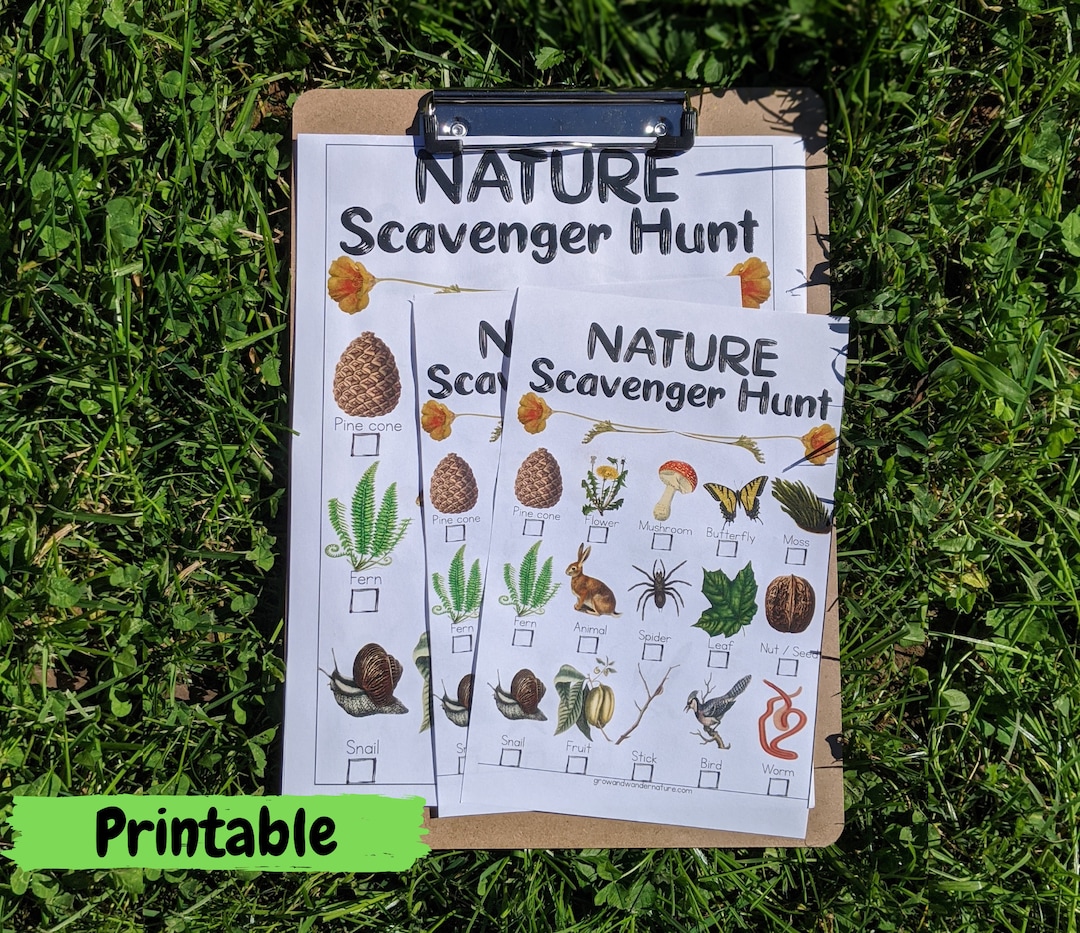 Nature Scavenger Hunt Printable: Montessori Outdoor Activity (PDF) - Etsy