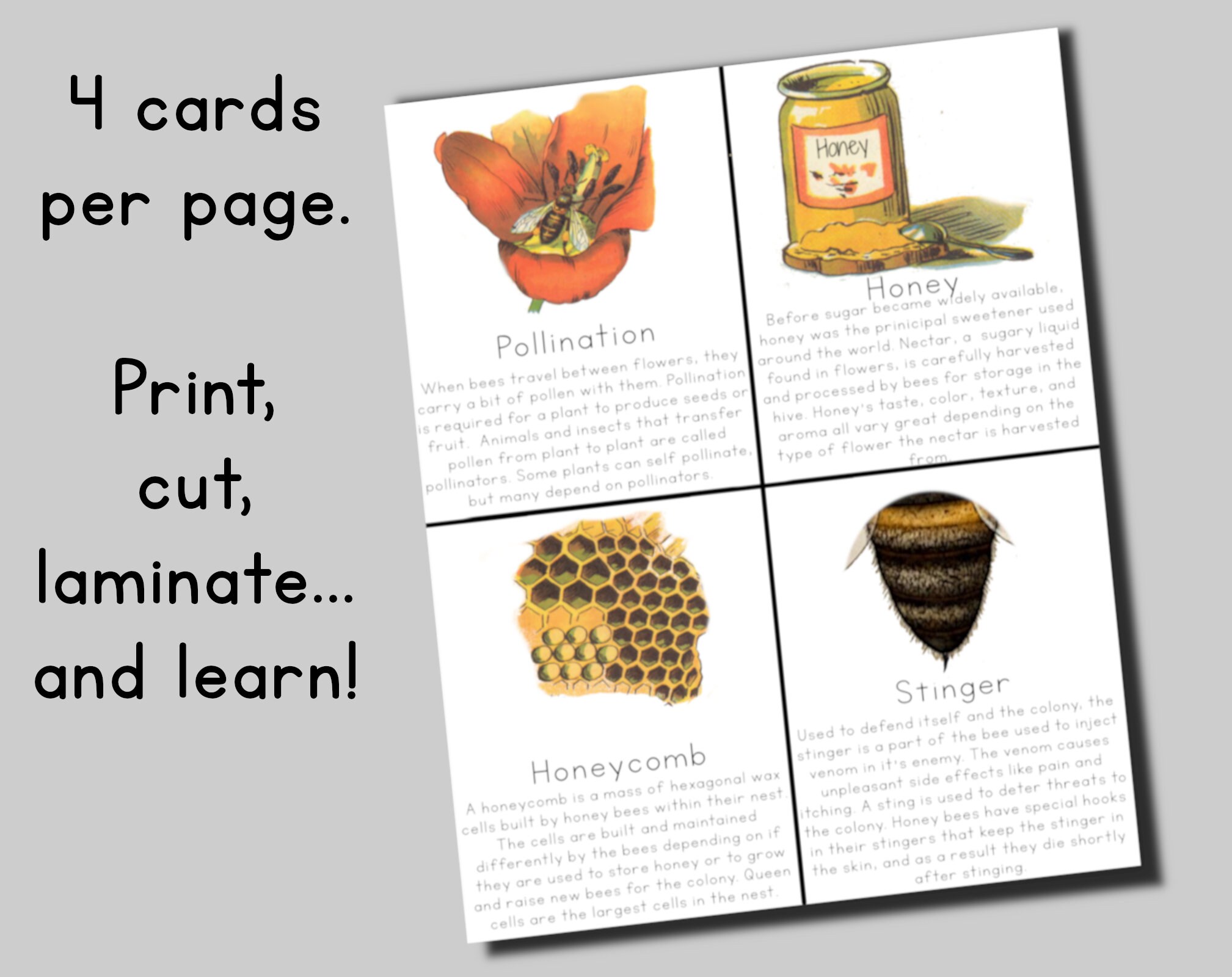 Honey Bee Spring Educational Printable Bundle, Nature School Activities ...