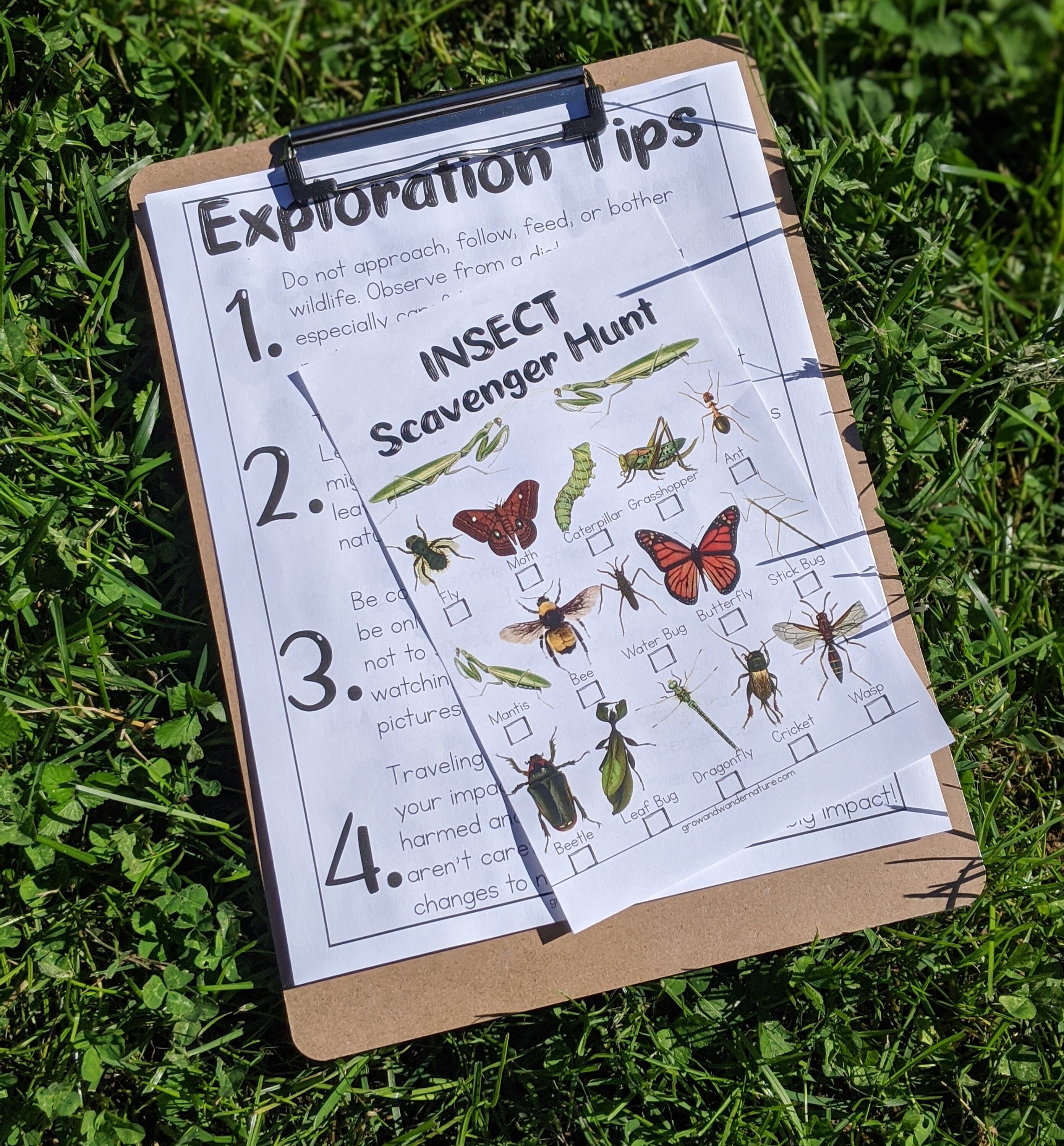 Insect Scavenger Hunt Printables Bug Themed Party Activity | Etsy India