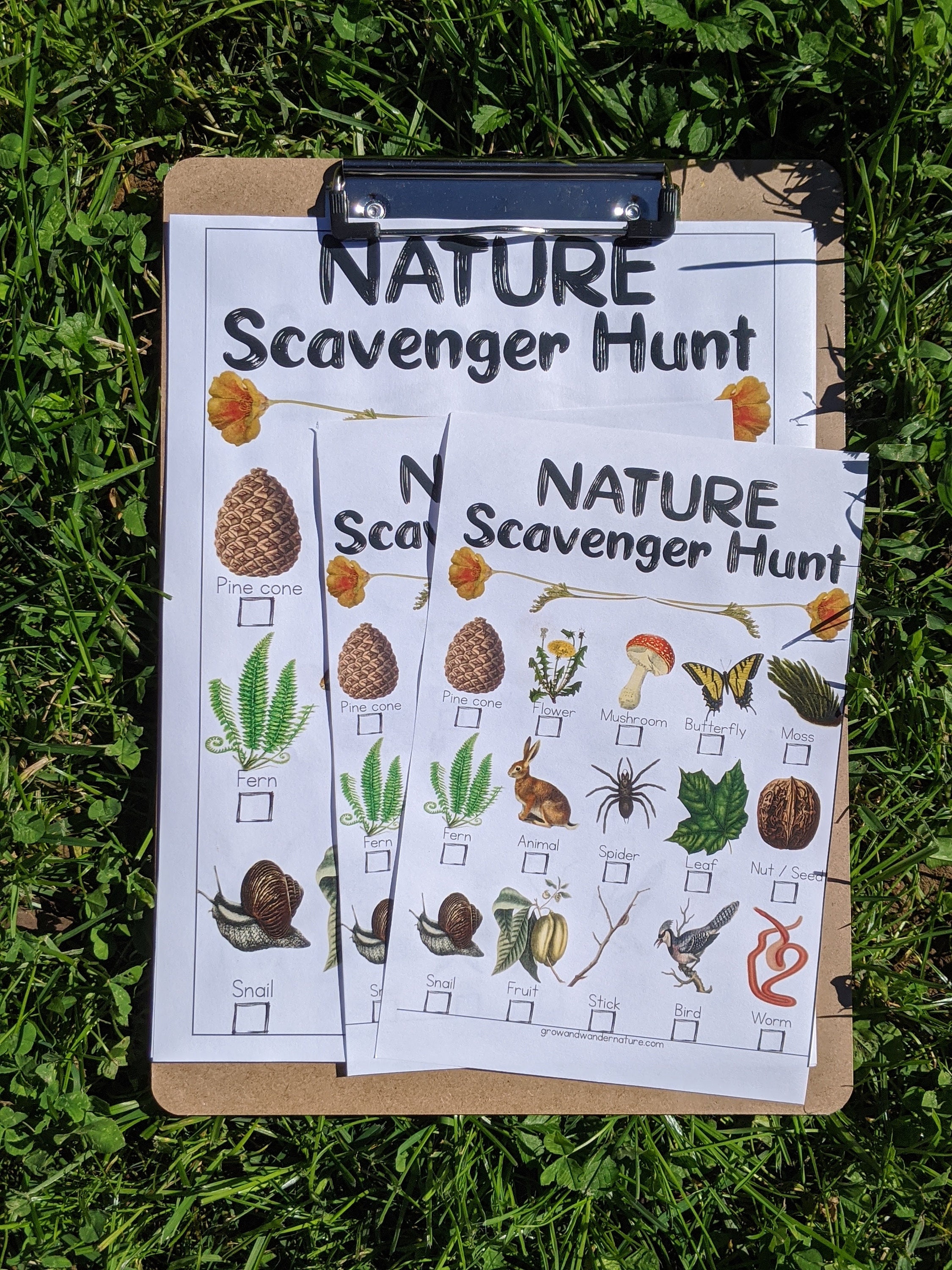 Nature Scavenger Hunt Printable: Montessori Outdoor Activity (PDF) - Etsy