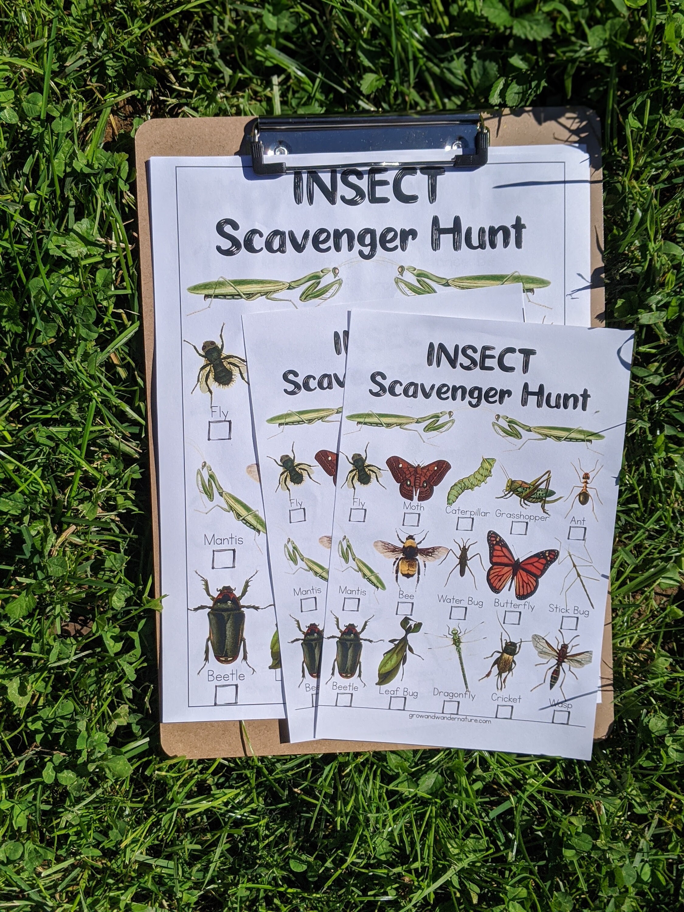 Insect Scavenger Hunt Printables, Bug Themed Party, Activity Sheets for ...