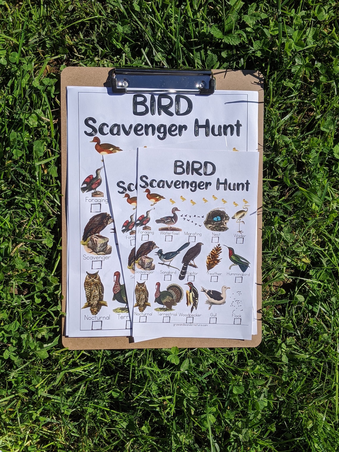 Bird Scavenger Hunt Printable, Nature Activity Sheets for Camping ...