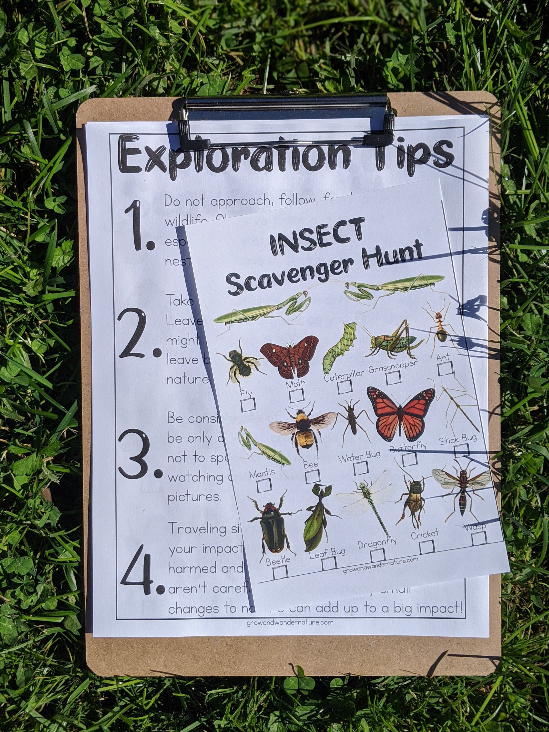 Insect Scavenger Hunt Printables, Bug Themed Party, Activity Sheets for ...