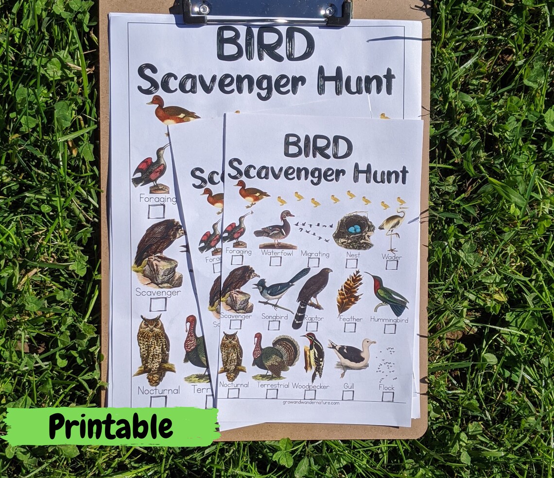 Bird Scavenger Hunt Printable, Nature Activity Sheets for Camping ...