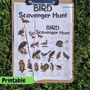 Bird Scavenger Hunt Printable, Nature Activity Sheets for Camping ...