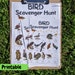 Bird Scavenger Hunt Printable Nature Activity Sheets for - Etsy