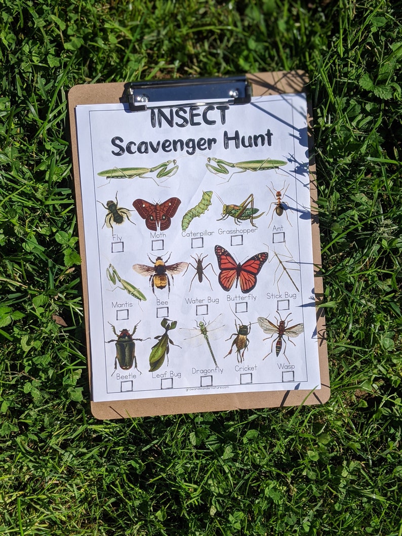 Insect Scavenger Hunt Printable: Backyard Bug Game (PDF) - Etsy
