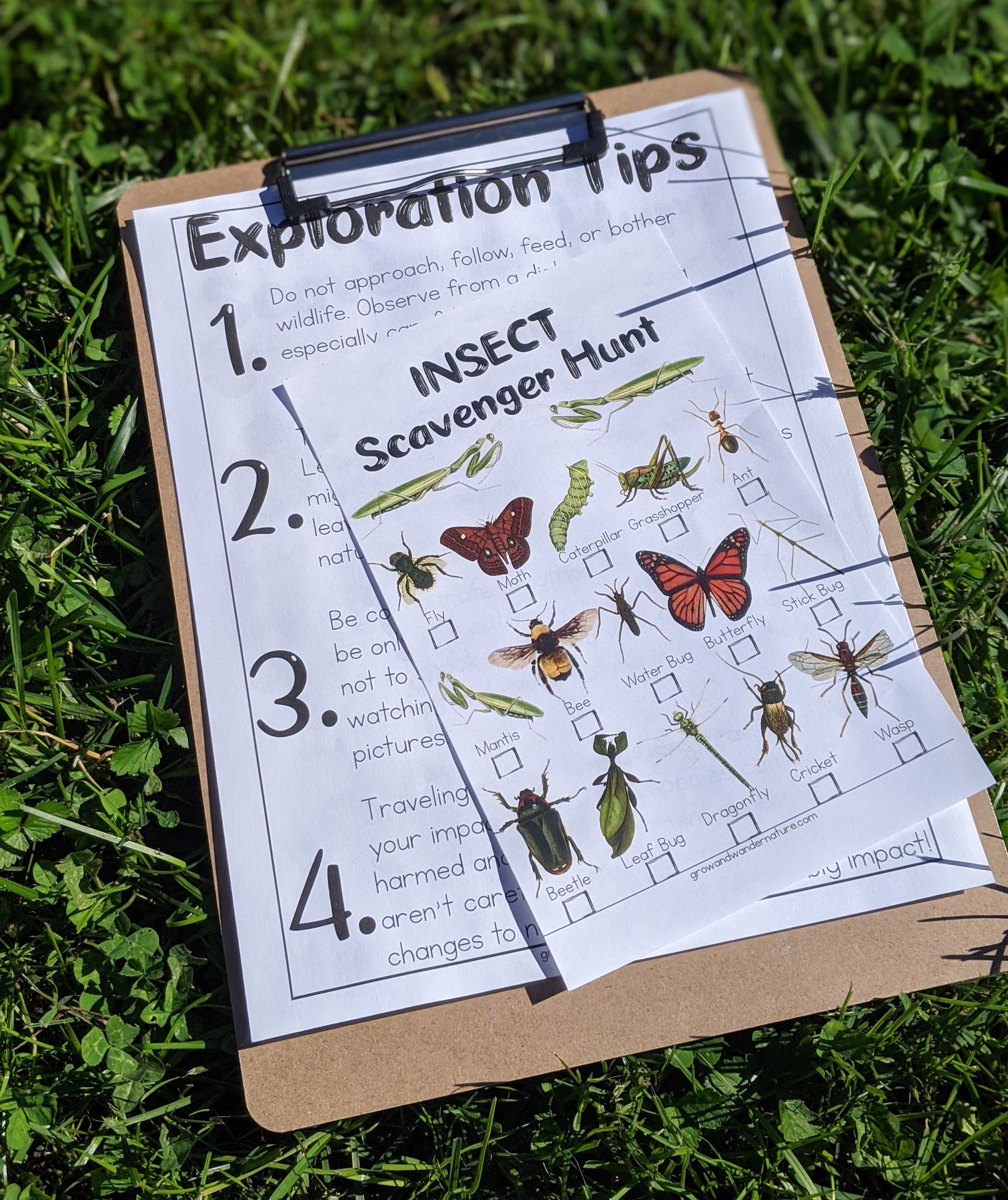 Insect Scavenger Hunt Printables, Bug Themed Party, Activity Sheets for ...