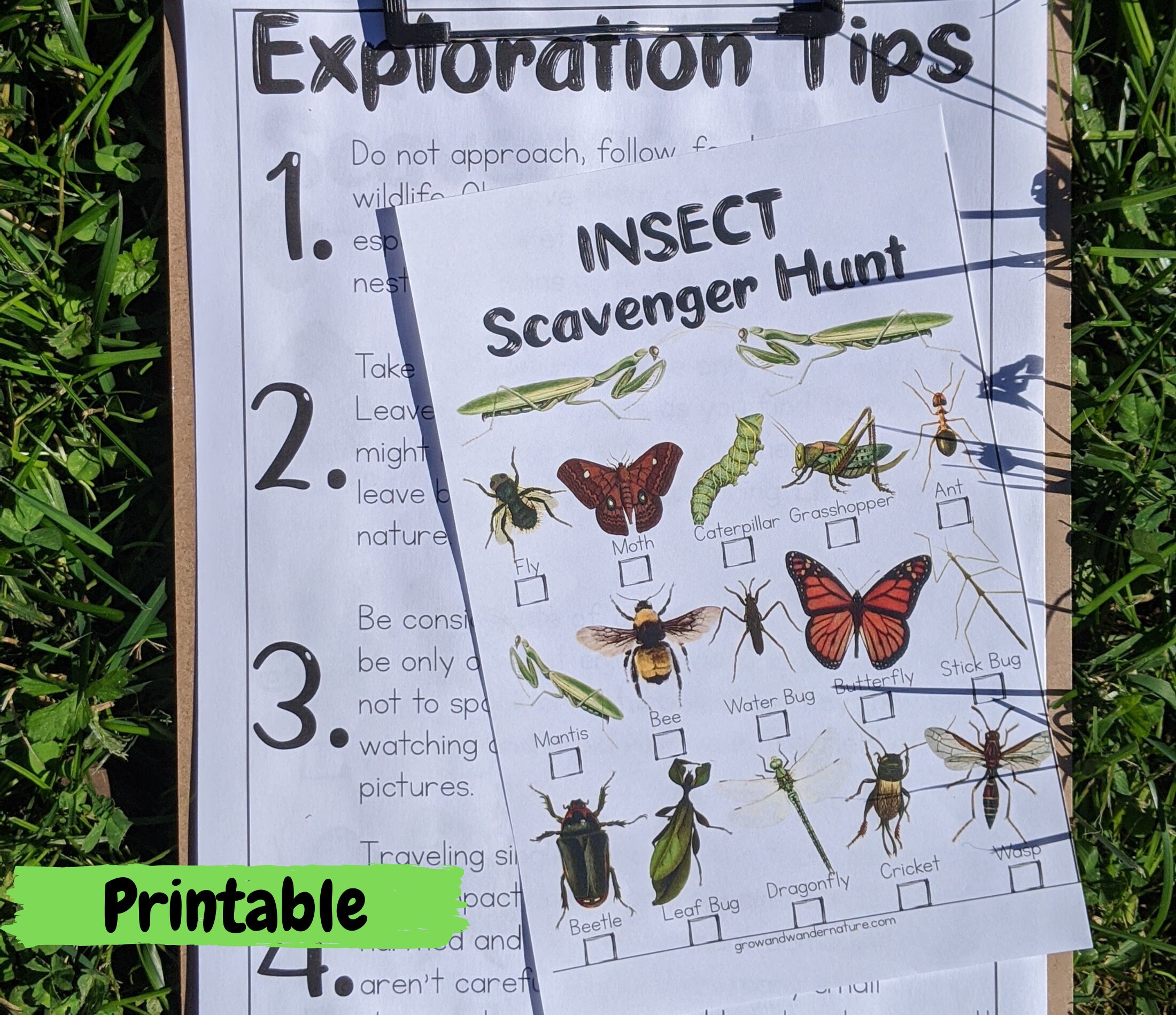 Insect Scavenger Hunt Printables, Bug Themed Party, Activity Sheets for ...