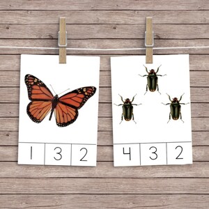 Insect Spring Educational Activities Printable Bundle, Writing ...