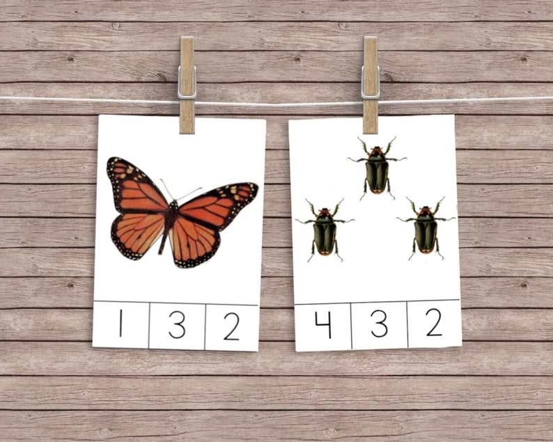 Insect Spring Educational Activities Printable Bundle, Writing ...