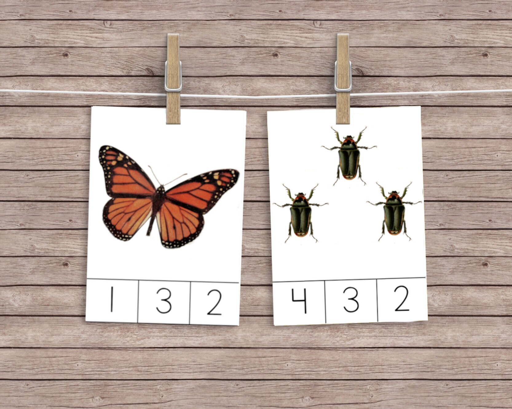 Insect Spring Educational Activities Printable Bundle, Writing ...