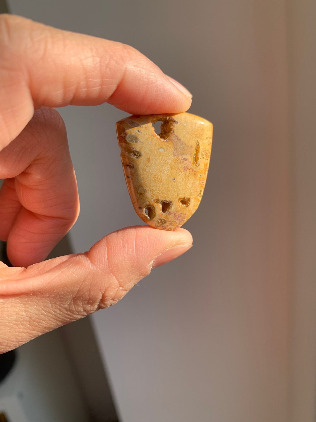Agatized Petrified Palm Root#2, Sheild Agate With Crystallized Geode ...