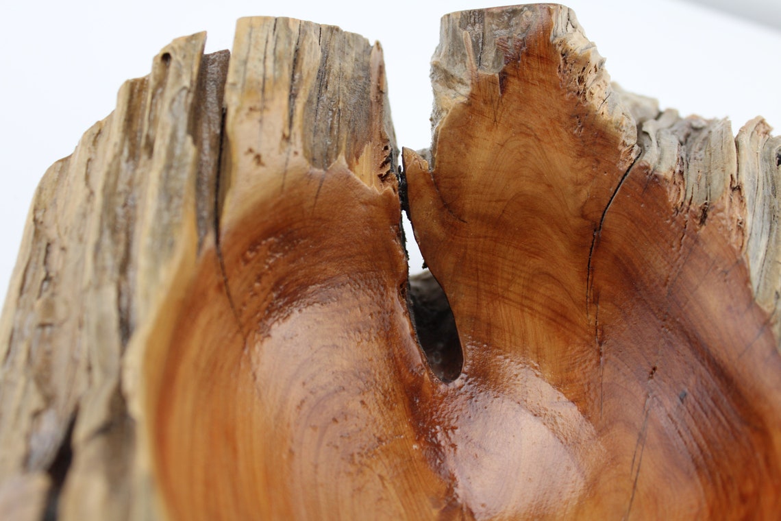 Unique, Rustic Old Log Bowl for Keys or Small Items. - Etsy