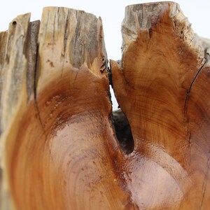 Unique, Rustic Old Log Bowl for Keys or Small Items. - Etsy