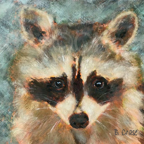 Raccoon Bandit - Etsy