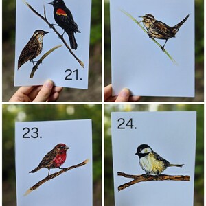 Common Seattle Birds 5x7 Watercolor Prints - Etsy
