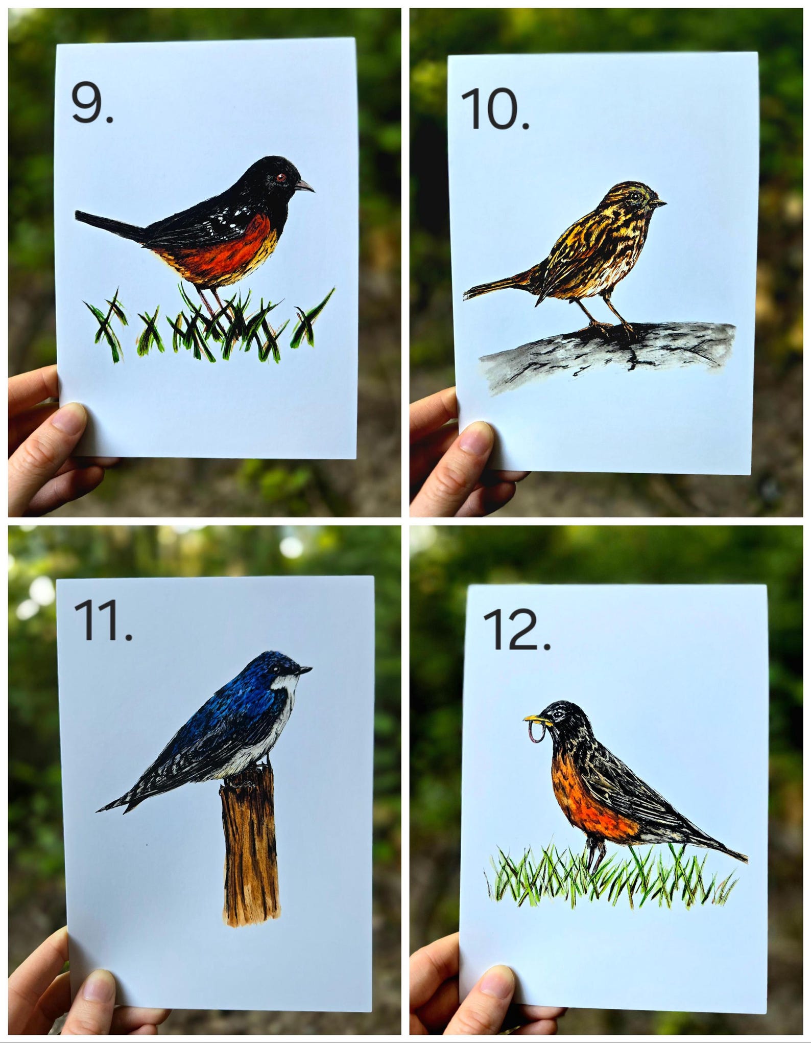 Common Seattle Birds 5x7 Watercolor Prints - Etsy