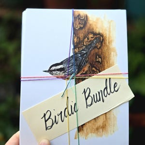 Common Seattle Birds 5x7 Watercolor Prints - Etsy